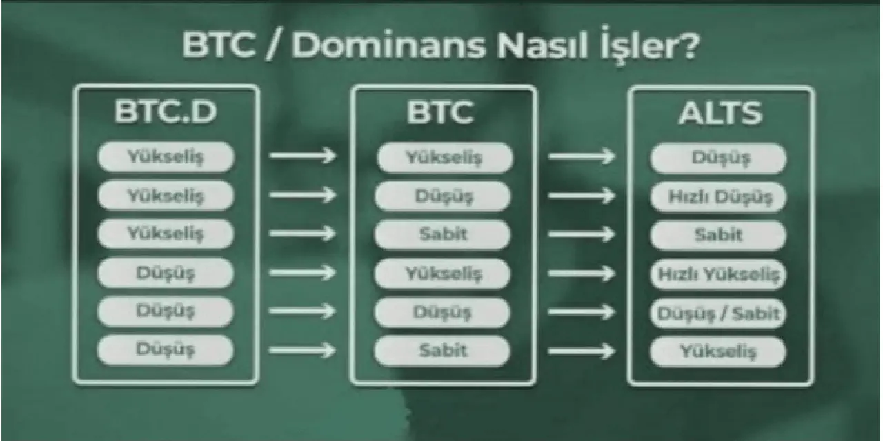 BTC Dominance Bitcoin ve Altcoinlerin İlişkisi