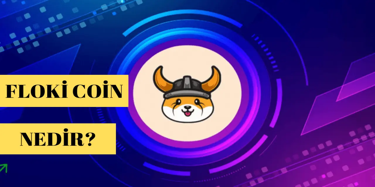Bir coin bir analiz: FLOKİ coin nedir!